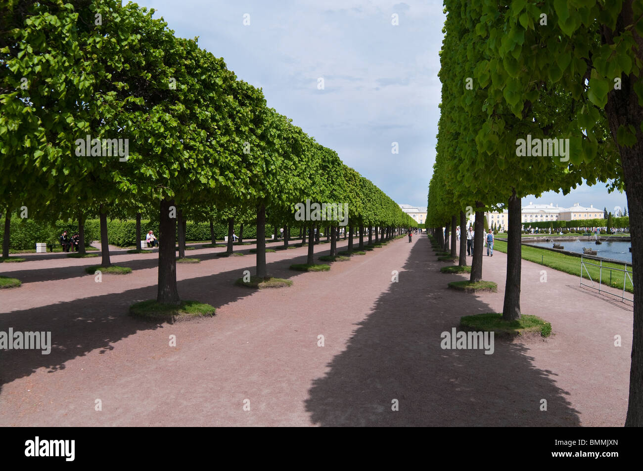 Landscape design in garden with trees and bushes in Peterhof ...