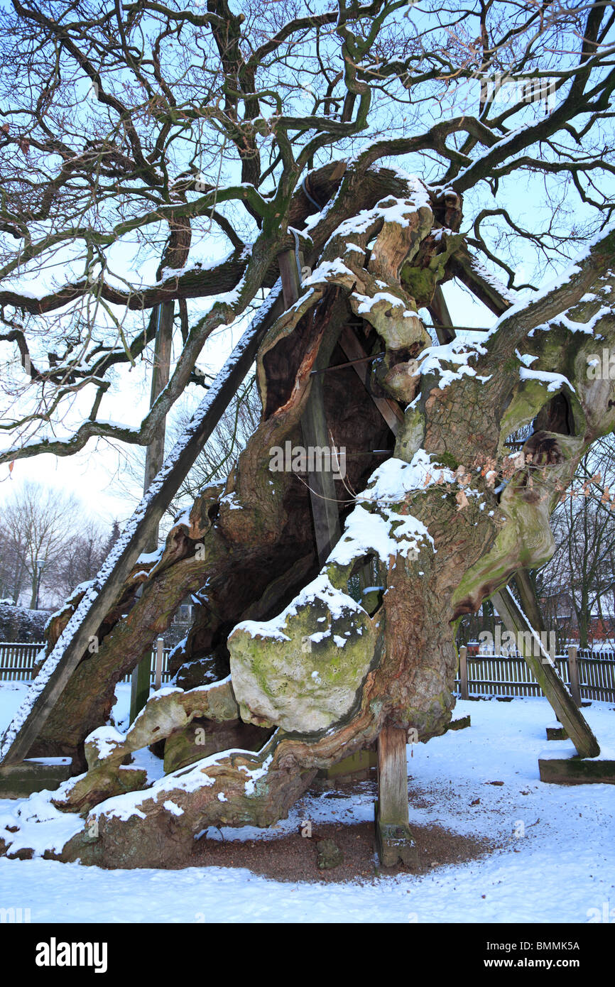 Geheimgericht hi-res stock photography and images - Alamy