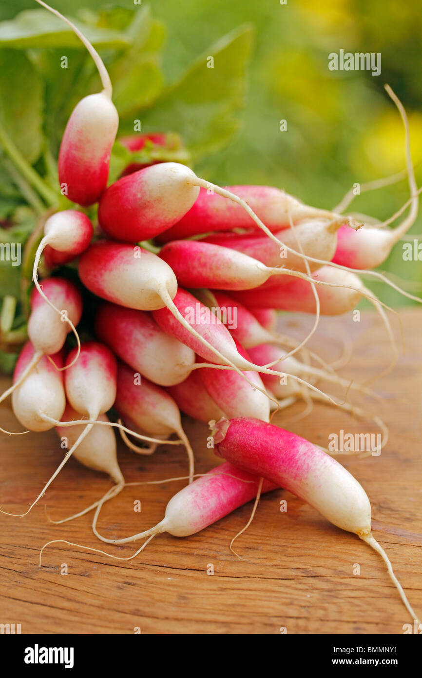 Radishes in natural background Stock Photo - Alamy