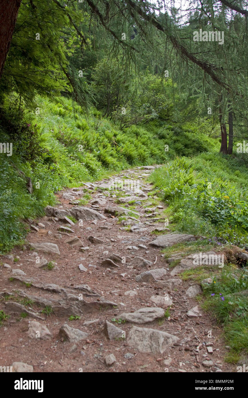 Stoney path hi-res stock photography and images - Alamy