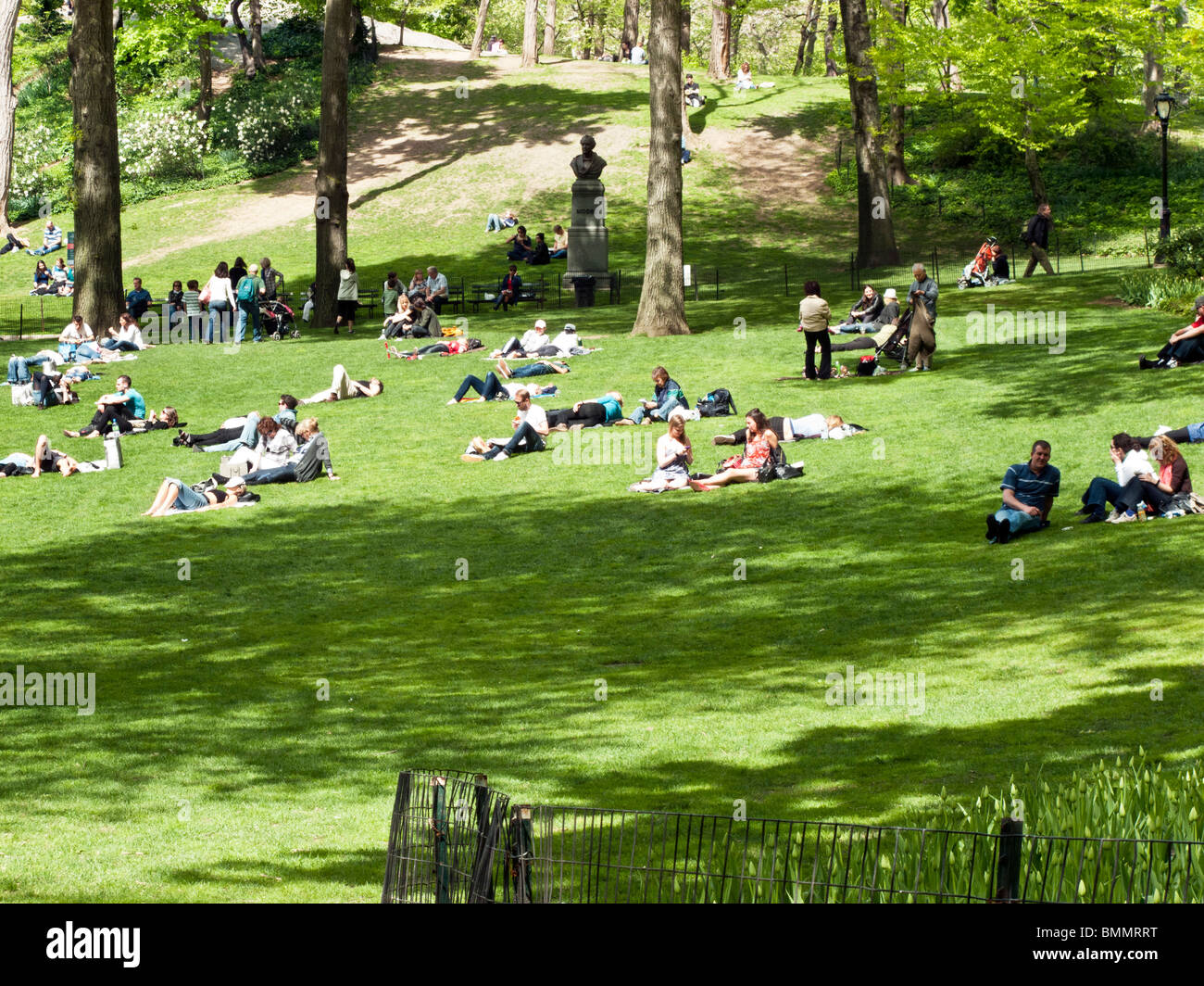 people sitting & lying sunbathing on the grass in nature on a beautiful ...