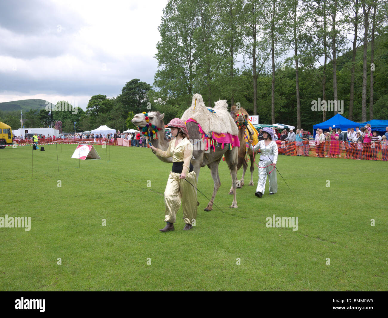 Camel Racing England High Resolution Stock Photography and Images - Alamy