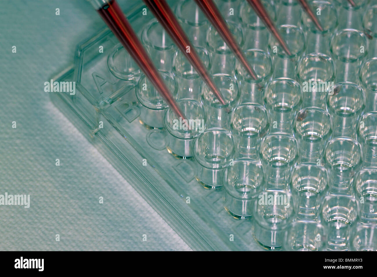 Microplate hi-res stock photography and images - Alamy