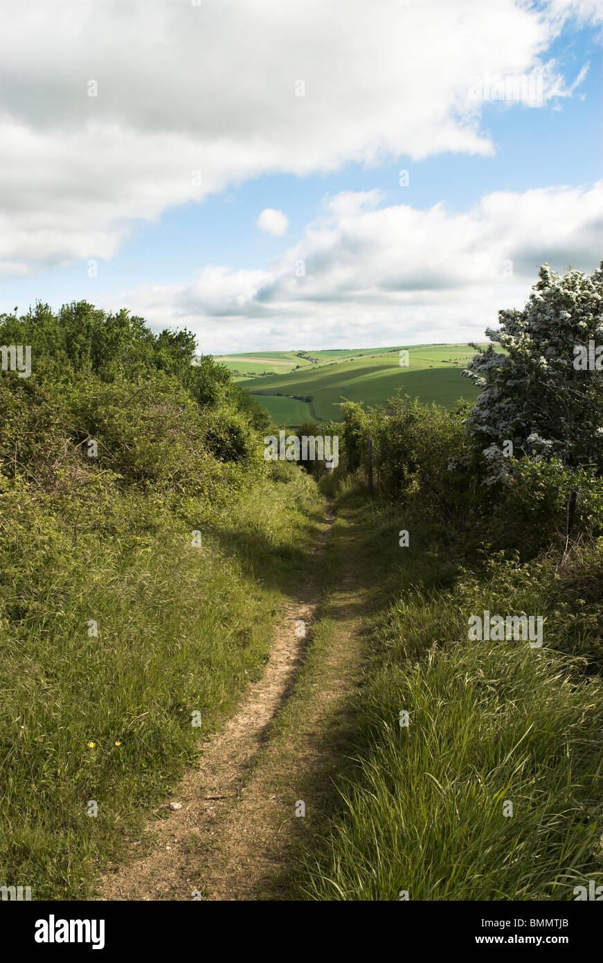 Footpath leading around the ancient iron age hill fort of Cissbury Ring ...