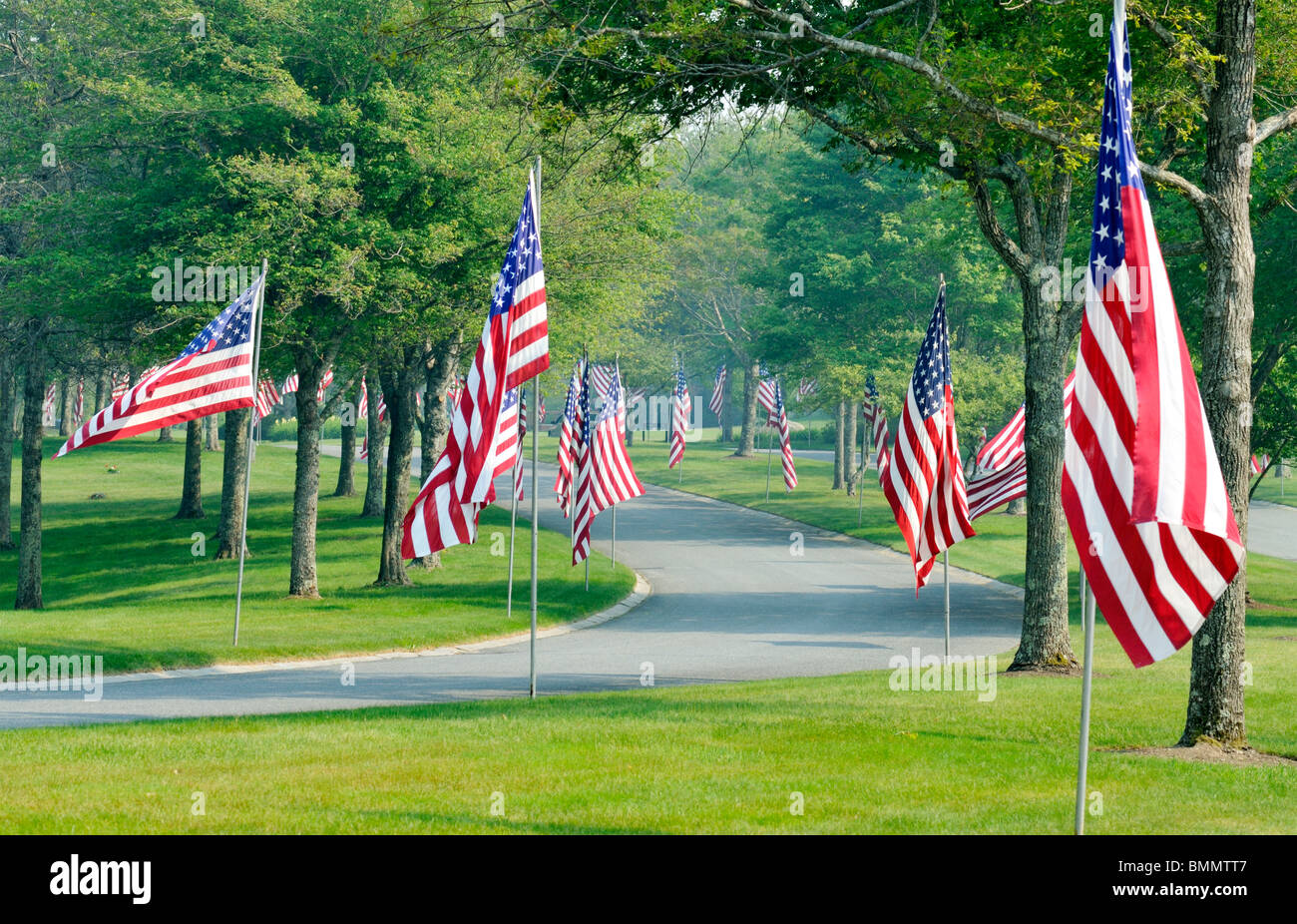 Usa america national flag hi-res stock photography and images - Alamy