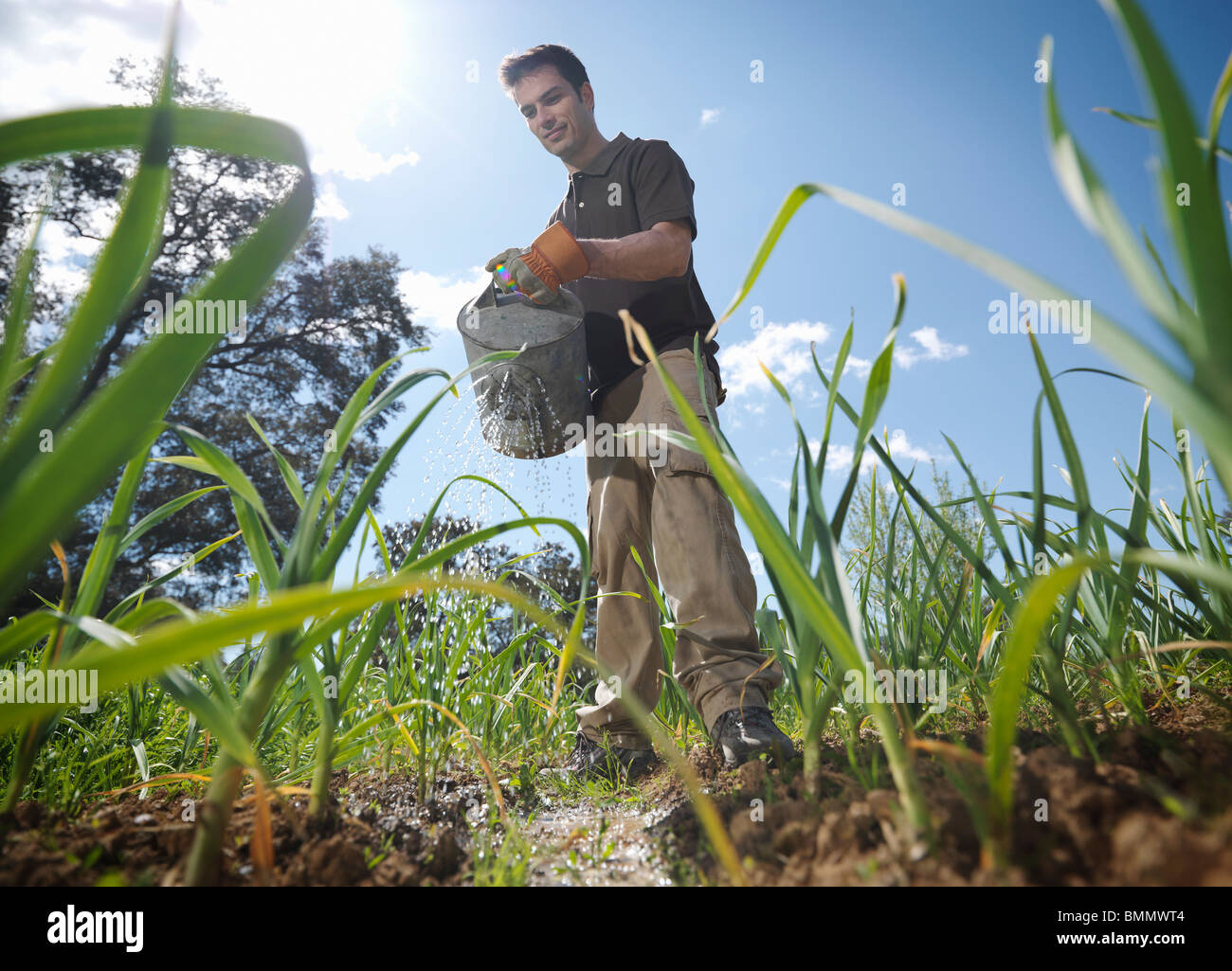 Garlic person hi-res stock photography and images - Alamy