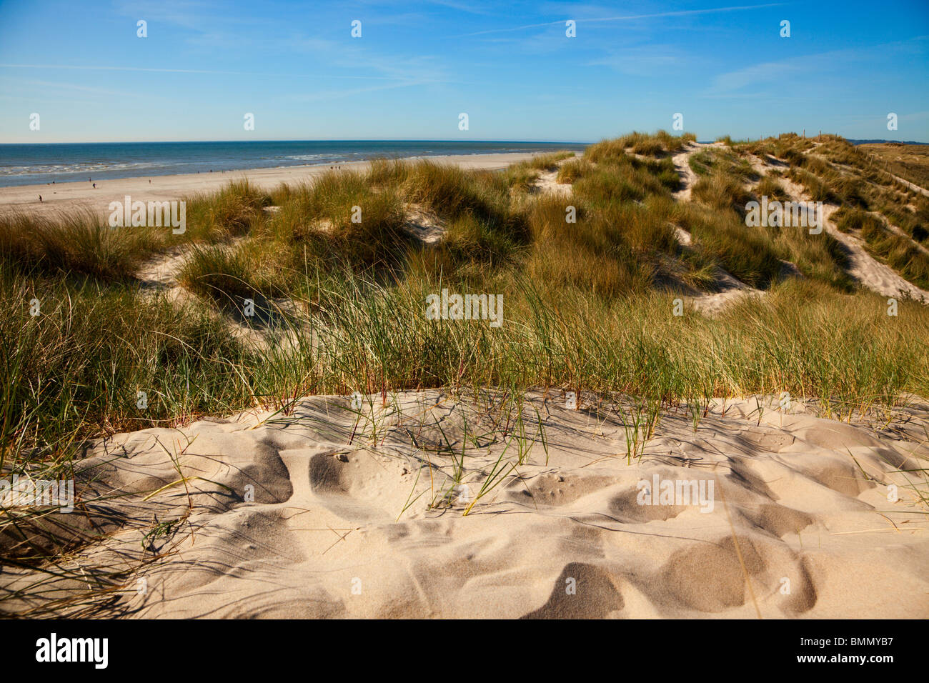dunes and beach at the french channel coast Stock Photo - Alamy