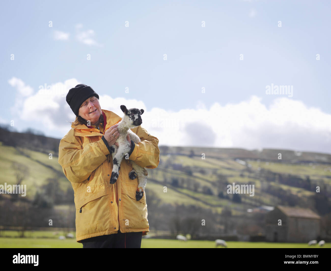 Lady lamb hi-res stock photography and images - Alamy