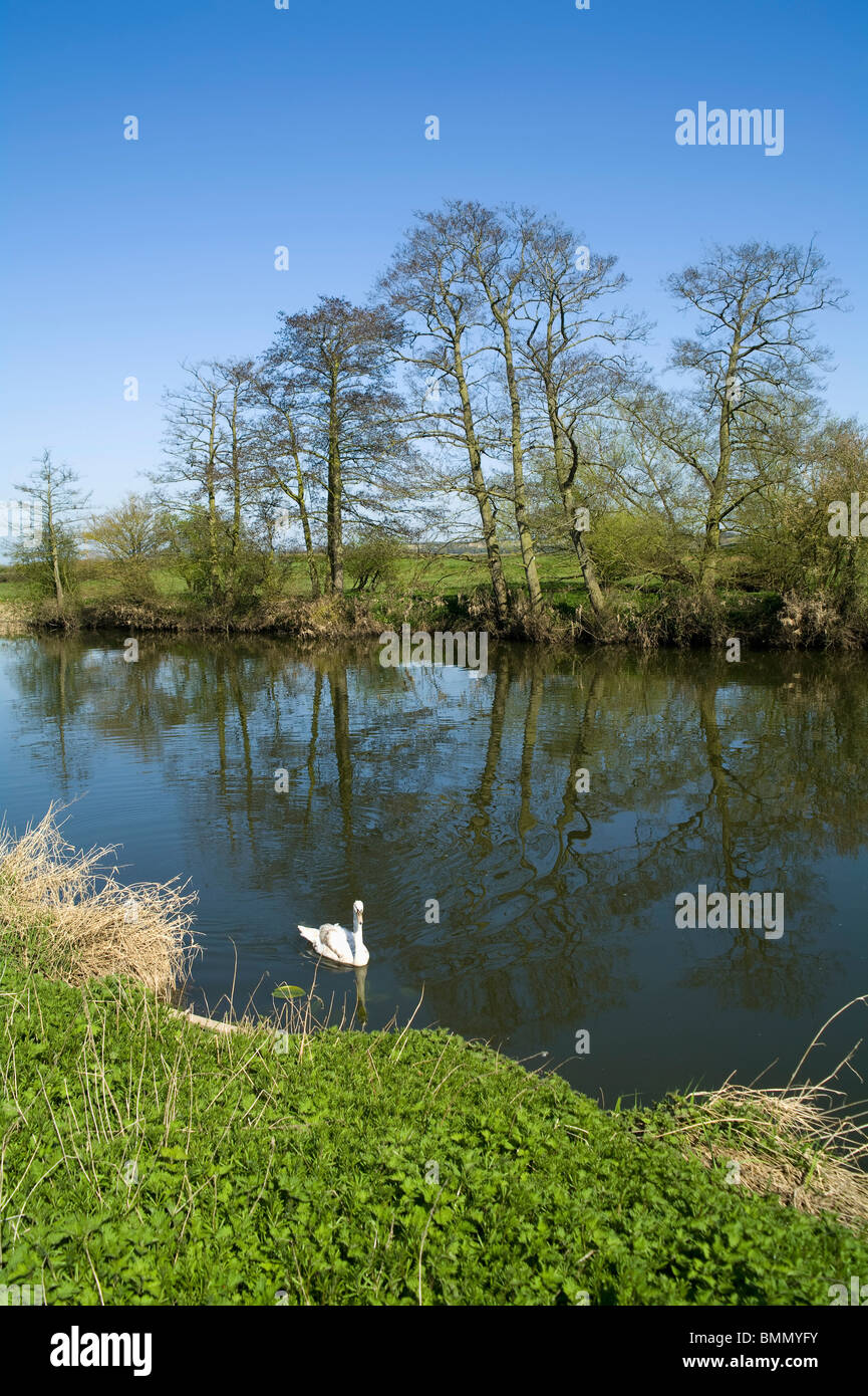river avon evesham worcestershire england uk Stock Photo - Alamy
