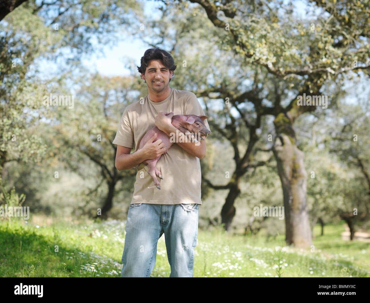 Pig piglet farm hi-res stock photography and images - Alamy