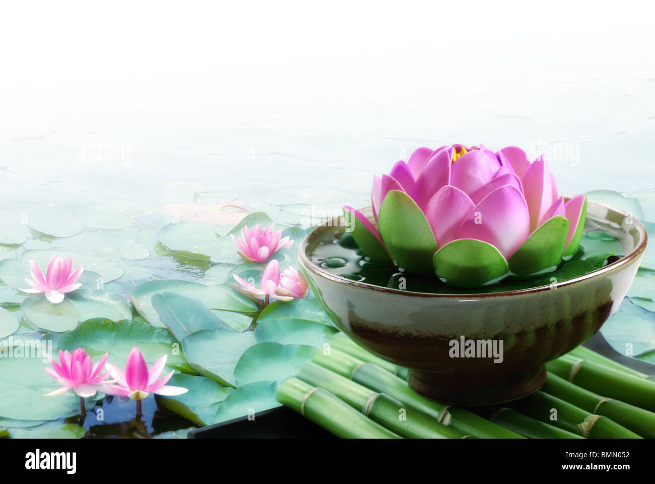 Spa still life with lotus for body treatment Stock Photo - Alamy