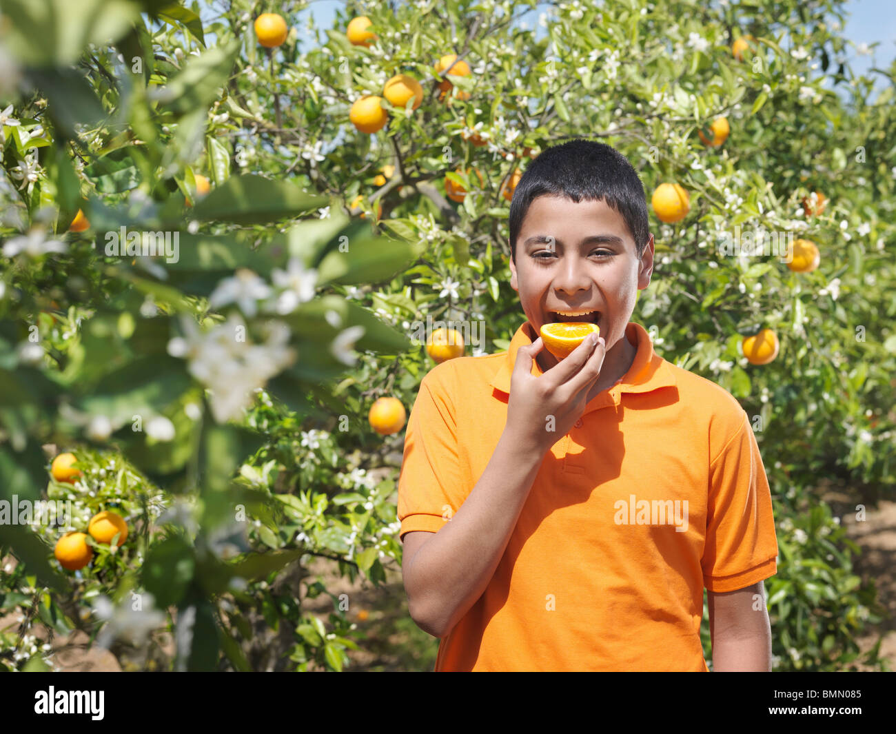Child eating an orange hi-res stock photography and images - Alamy