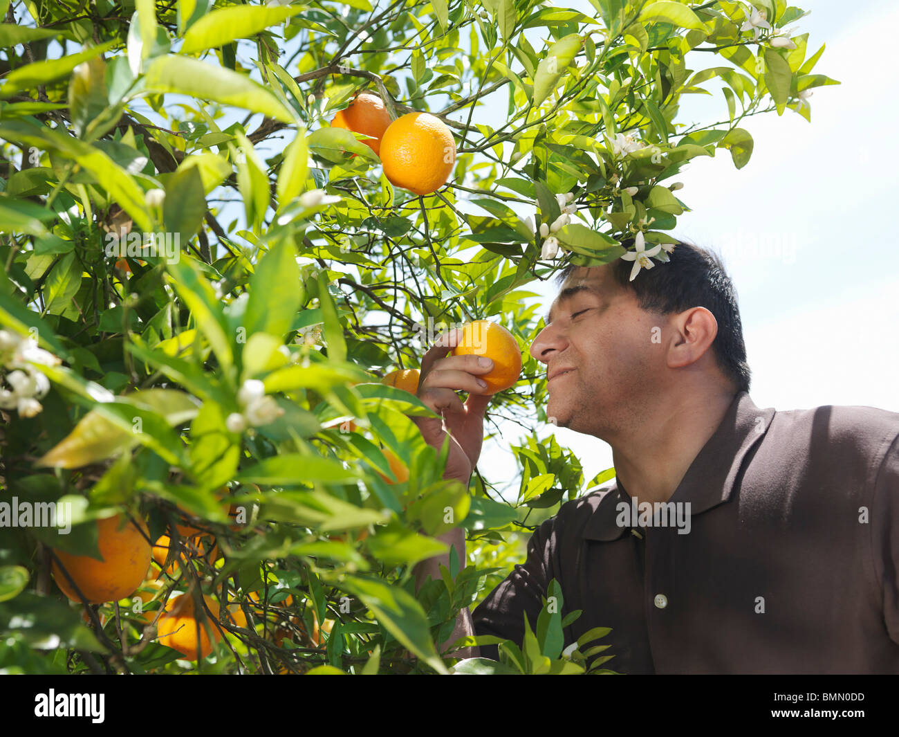 Man curiosity hi-res stock photography and images - Alamy