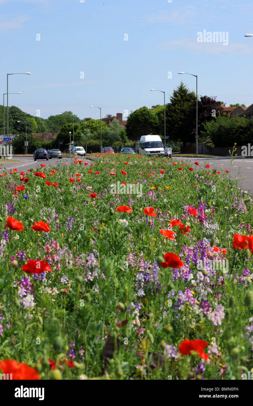 Grass verge road hove hi-res stock photography and images - Alamy