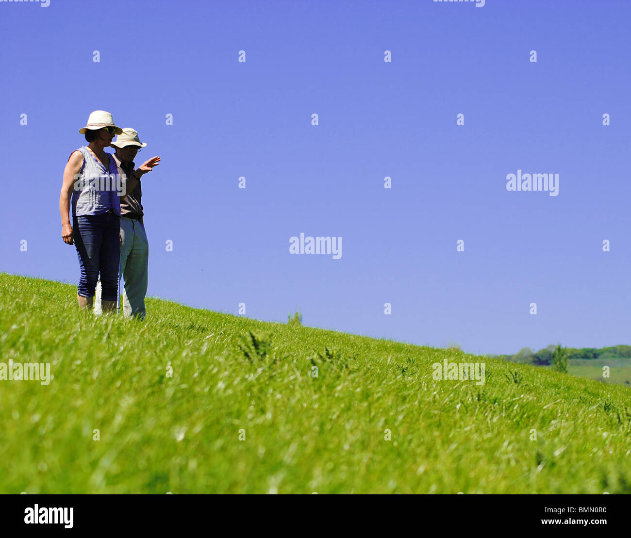 Walkers in a field hi-res stock photography and images - Alamy