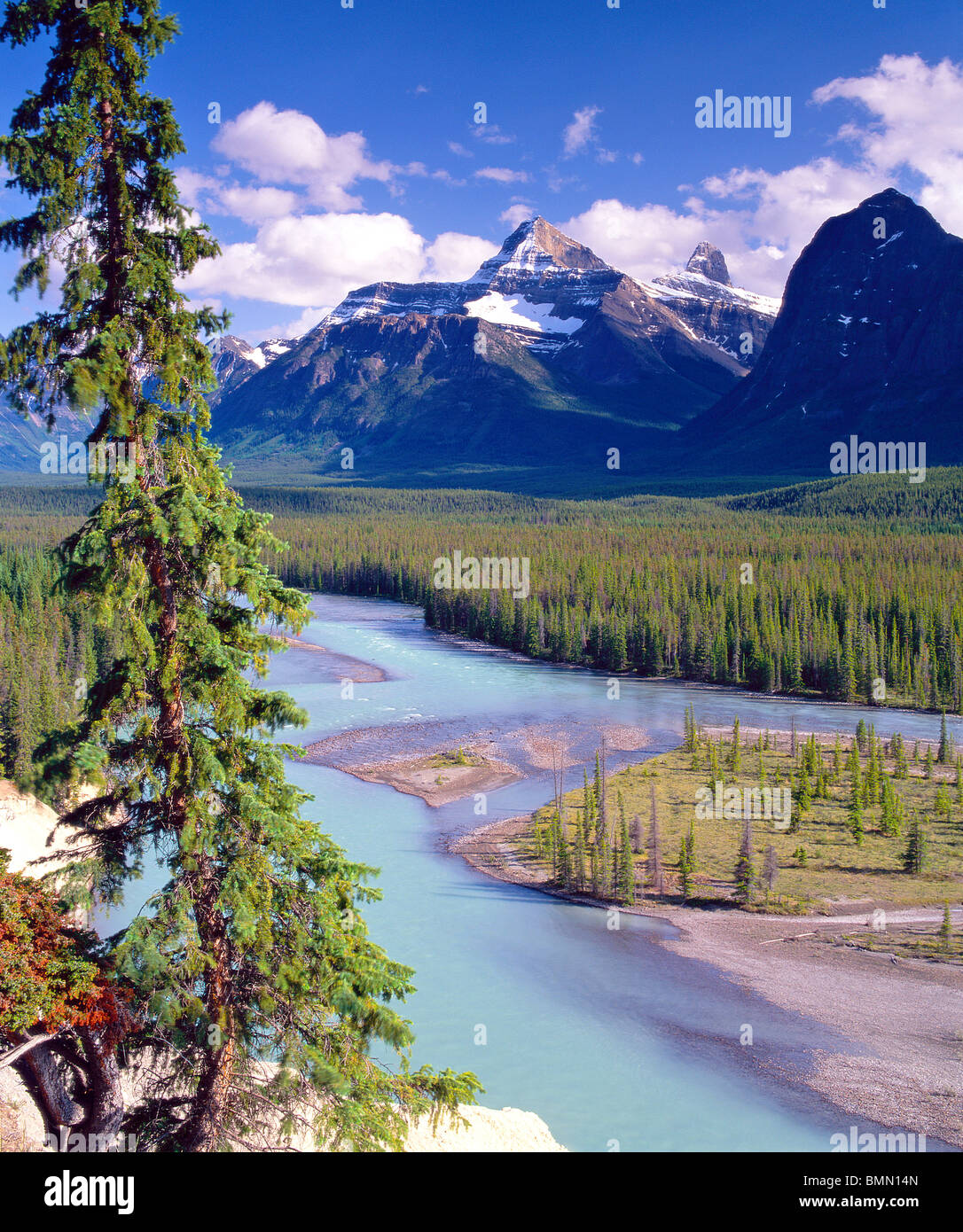 Mount christie jasper national park hi-res stock photography and images ...