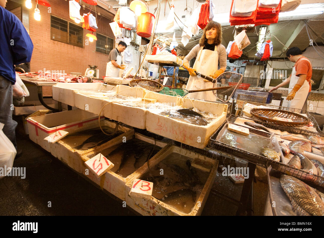Seafood on display for sell in fish market in Wan Chai, Hong Kong Stock ...
