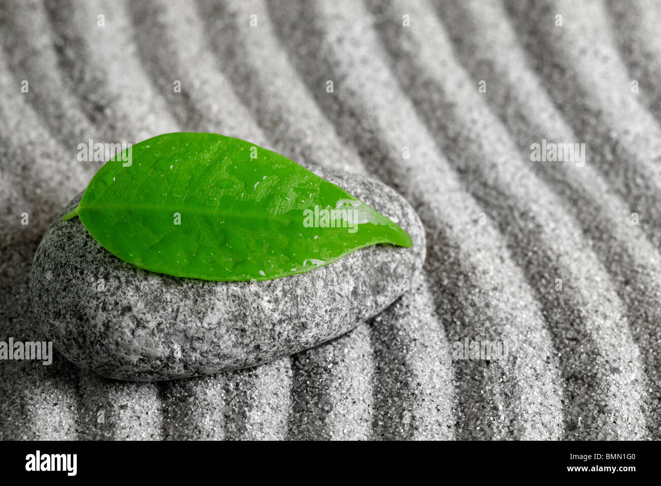 zen stone with leaf Stock Photo - Alamy