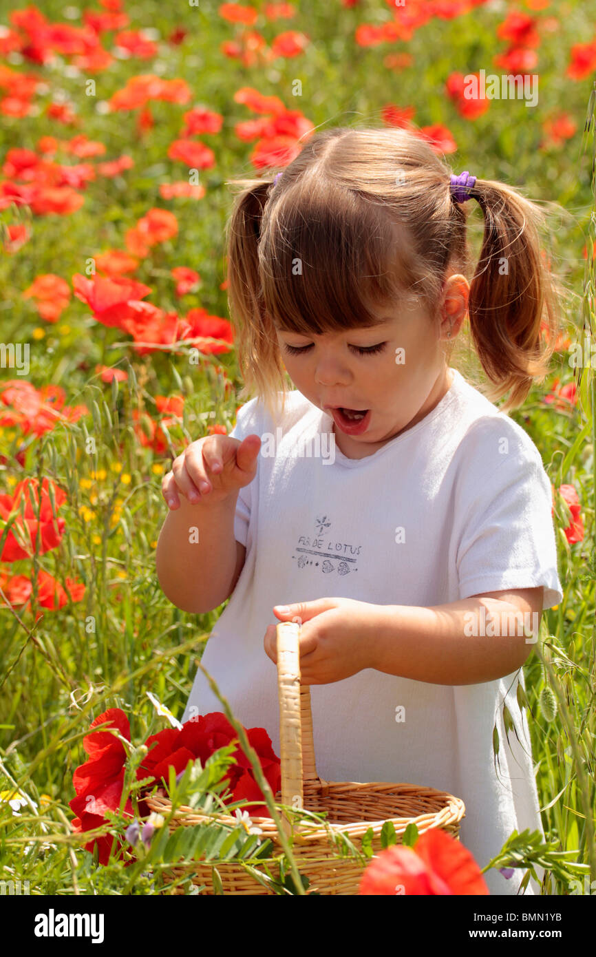 Little girl with poppies Stock Photo - Alamy