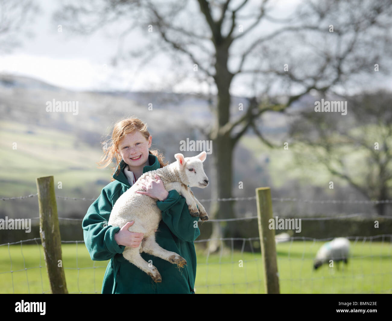 Baby Smiling Sheep High Resolution Stock Photography and Images - Alamy