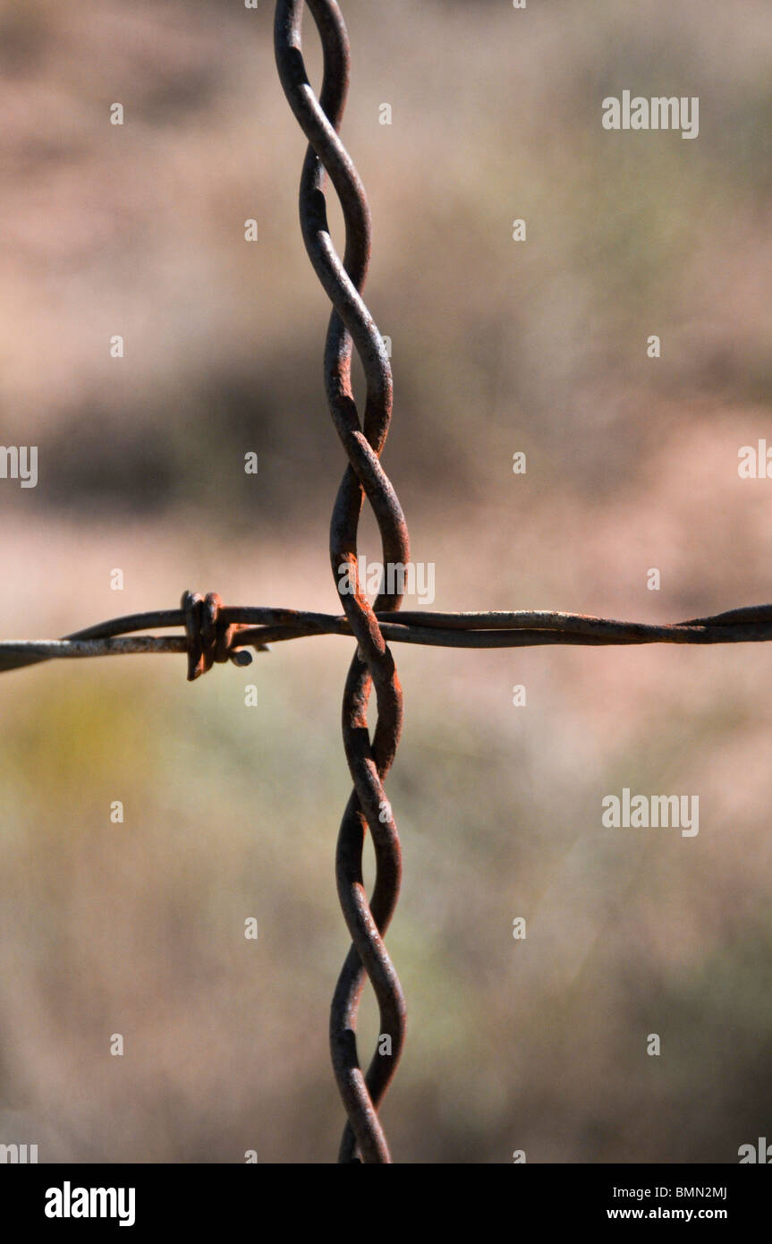 barbed wire fencing Stock Photo - Alamy