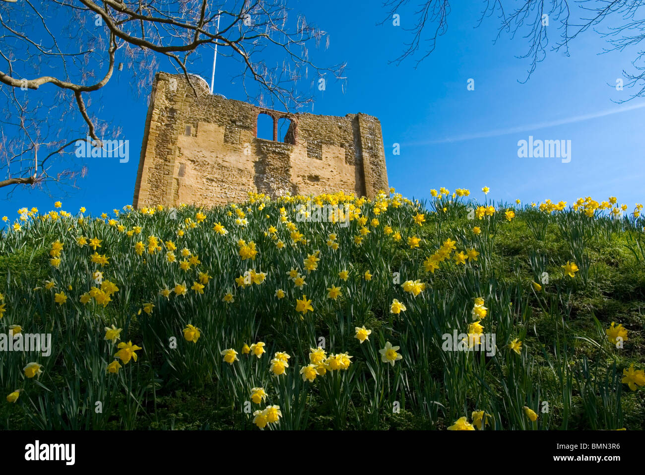Surrey, Guildford, Castle Stock Photo - Alamy