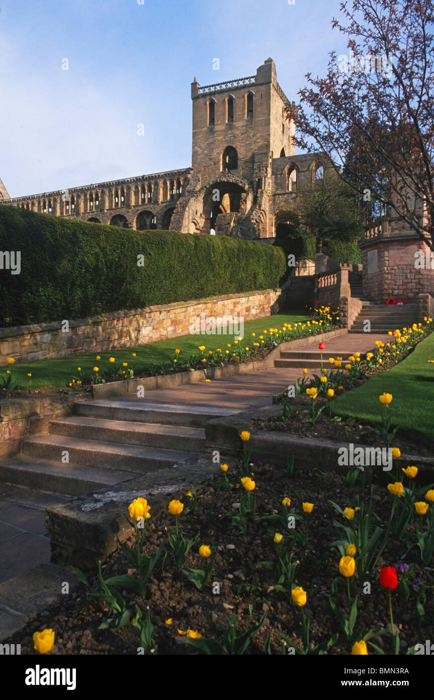 Borders abbey hi-res stock photography and images - Alamy