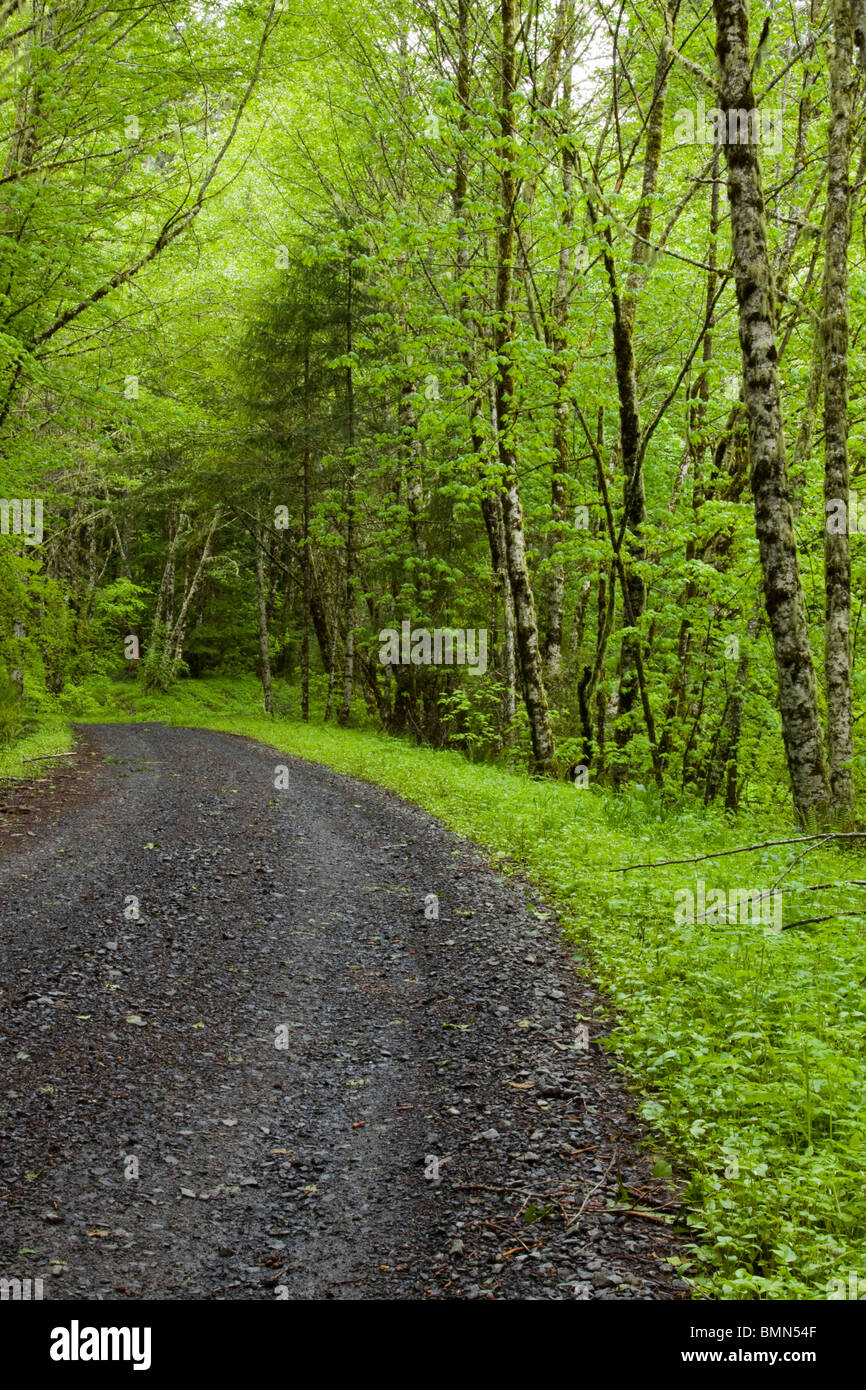 The Road Less Taken Stock Photo - Alamy