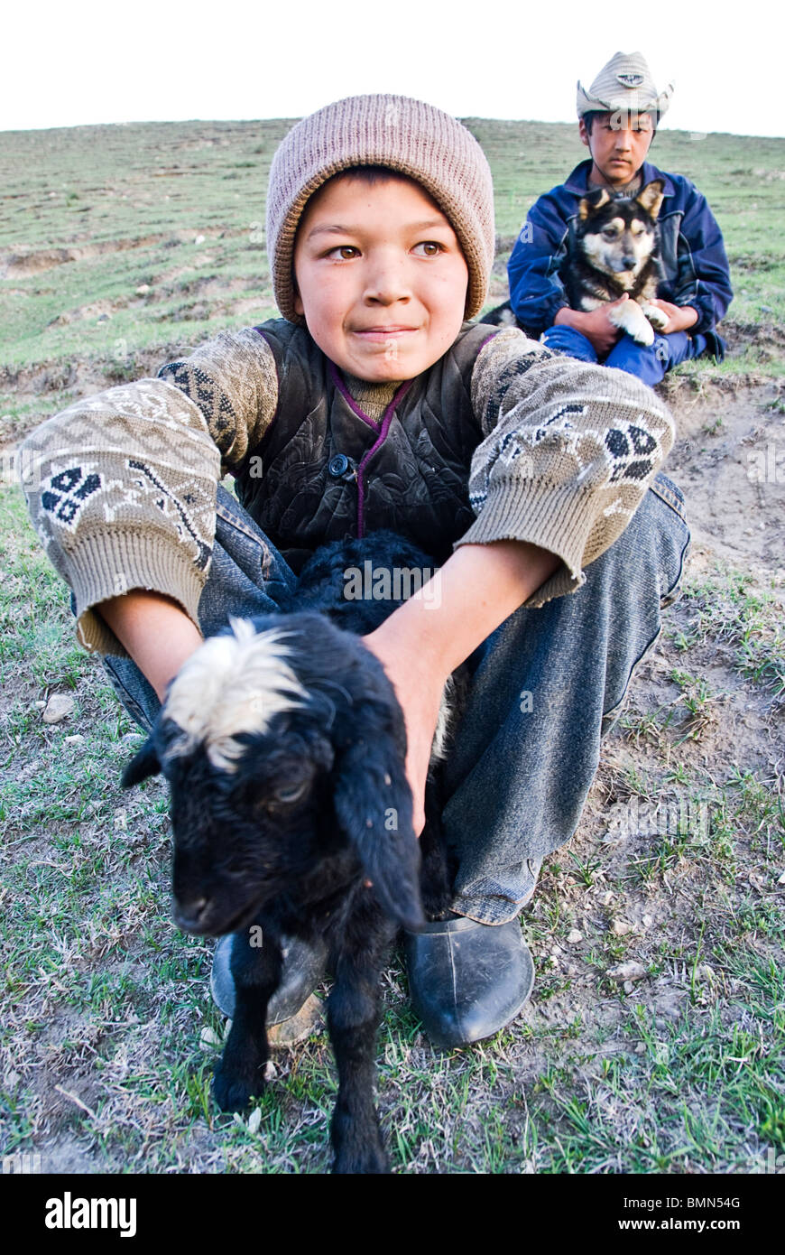 Shepherds sheep hi-res stock photography and images - Alamy