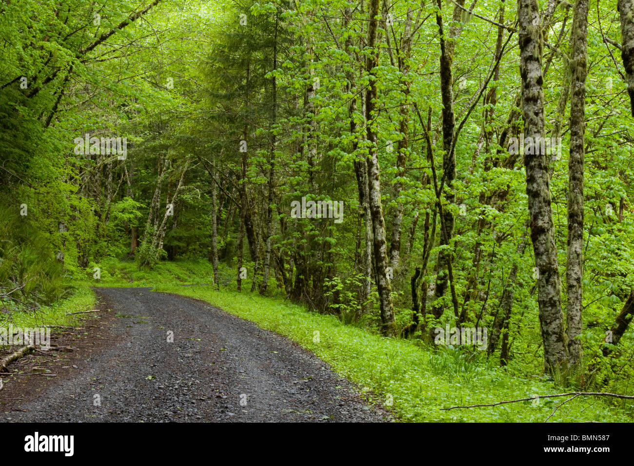 Empty Country Road Stock Photo - Alamy
