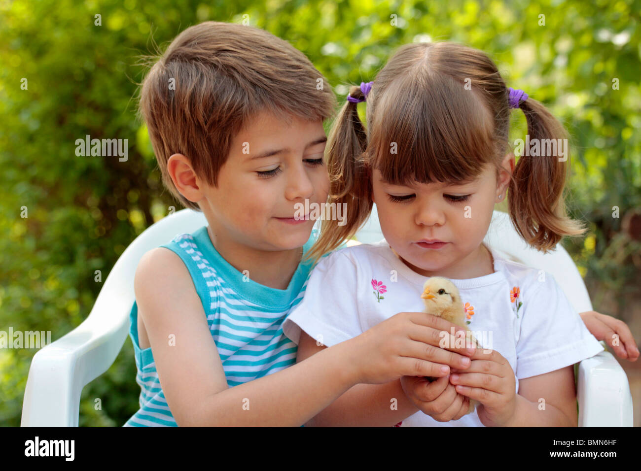 Kids and chick Stock Photo - Alamy