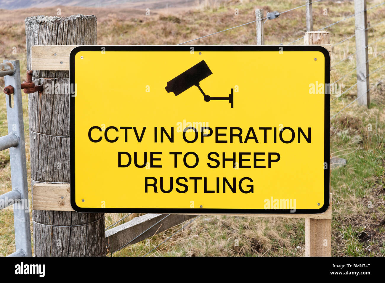 Sheep rustling sign hi-res stock photography and images - Alamy