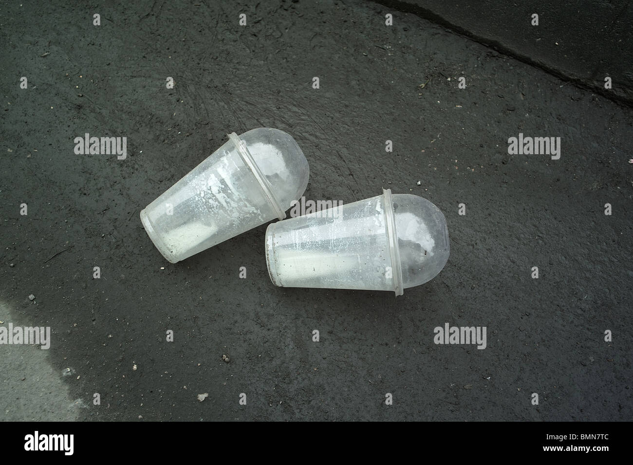 Two empty plastic glasses for the milk shake as garbage on asphalt ...