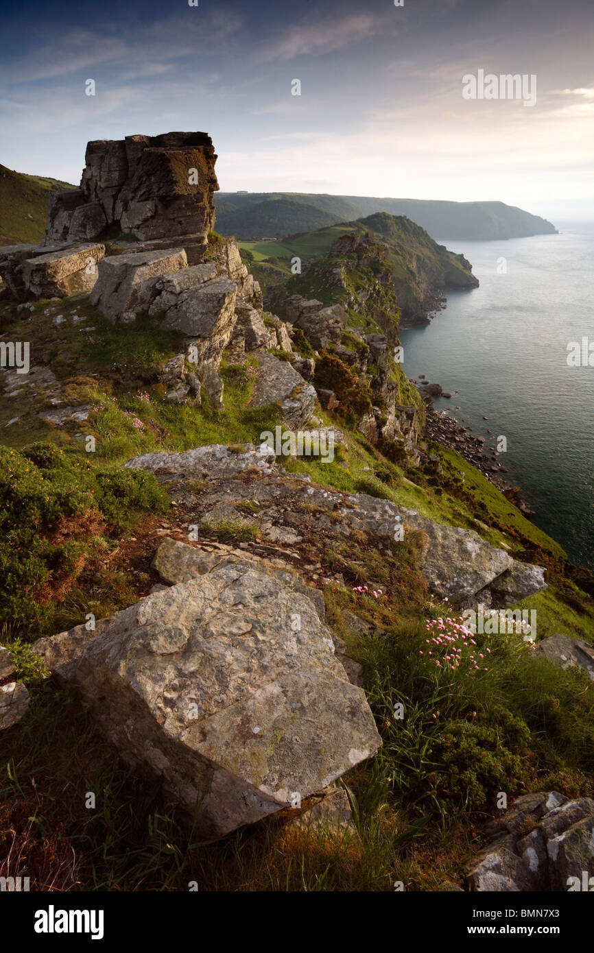 Summer thrift grows among the impressive geology at the Valley of the ...