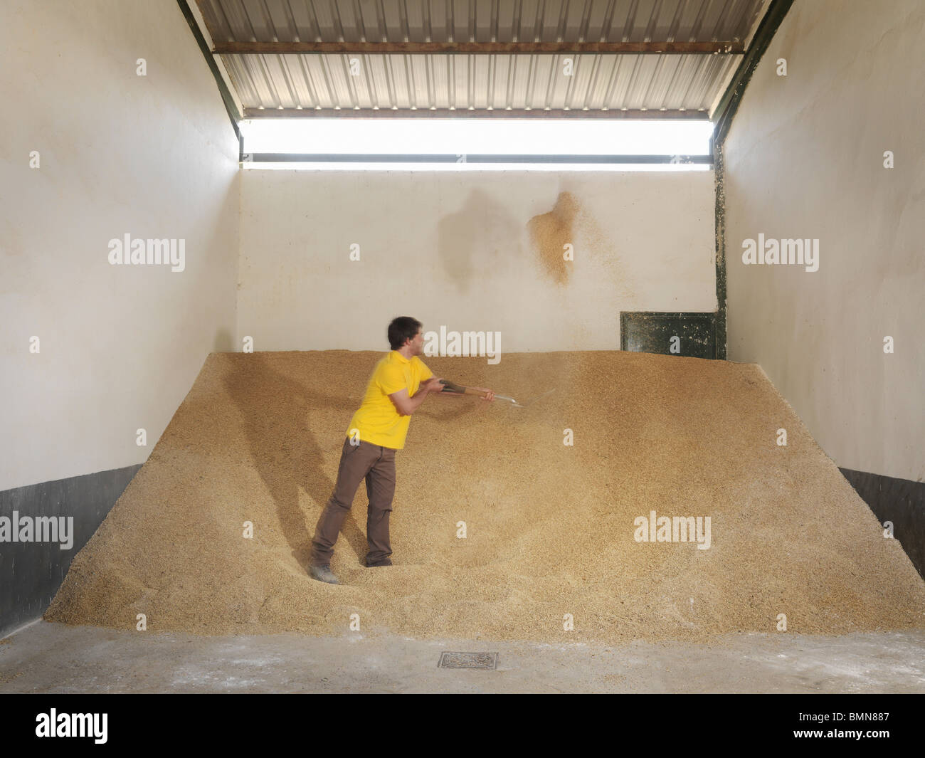 Piling Grain High Resolution Stock Photography and Images - Alamy