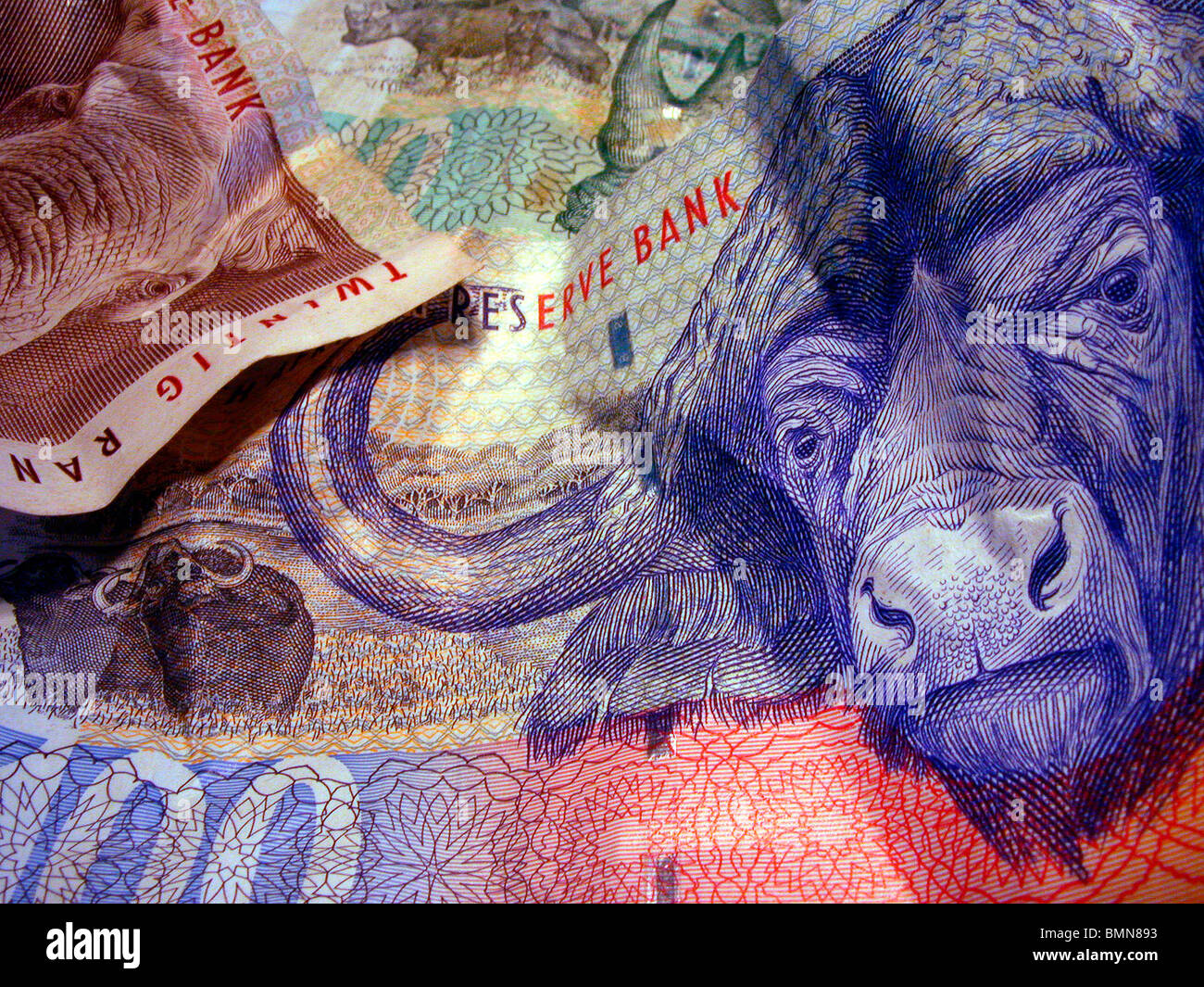 A collection of ten, twenty, fifty and one hundred South African Rand ...