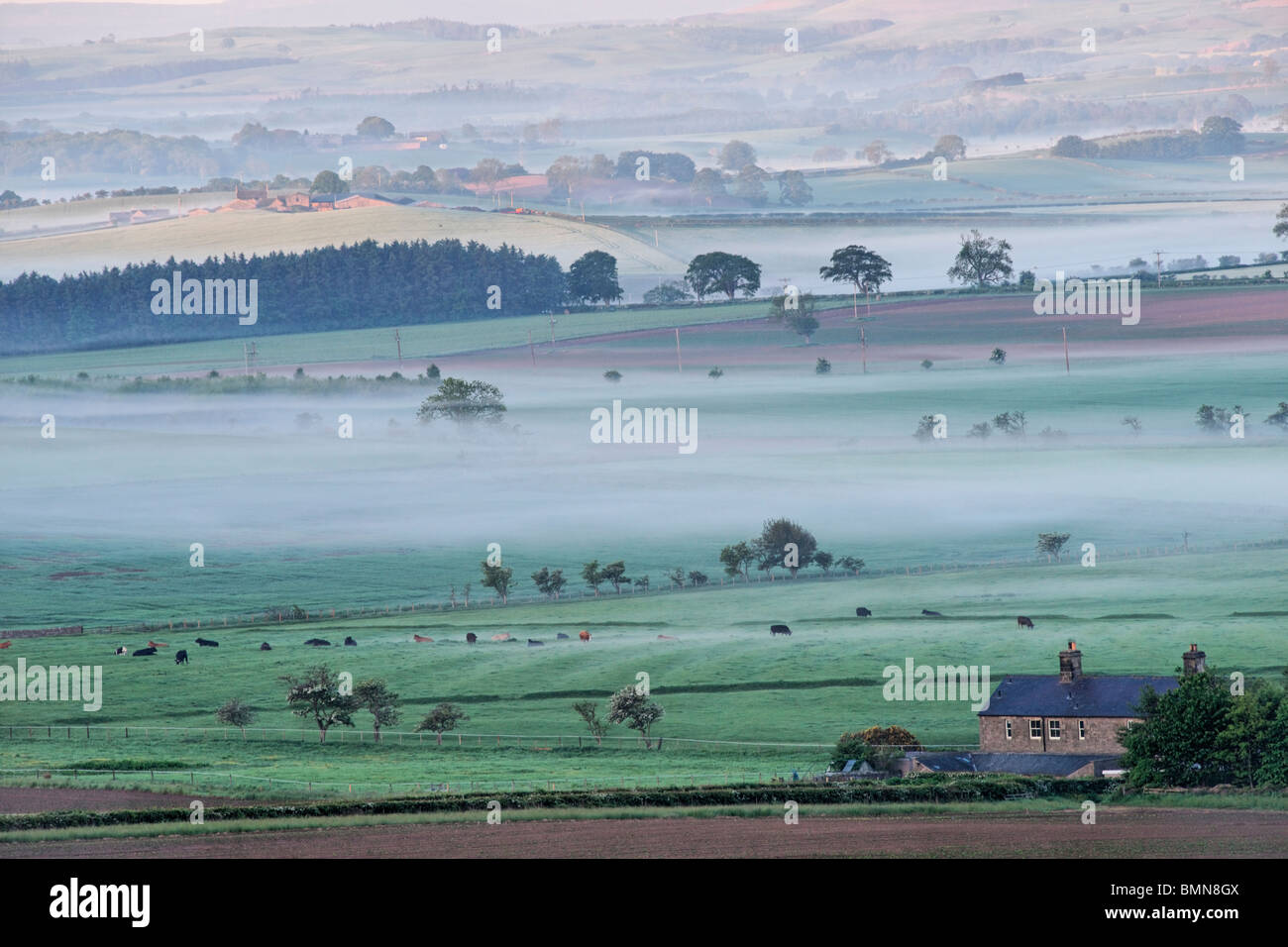Fields and mist near Chatton, Northumberland, England, UK Stock Photo ...