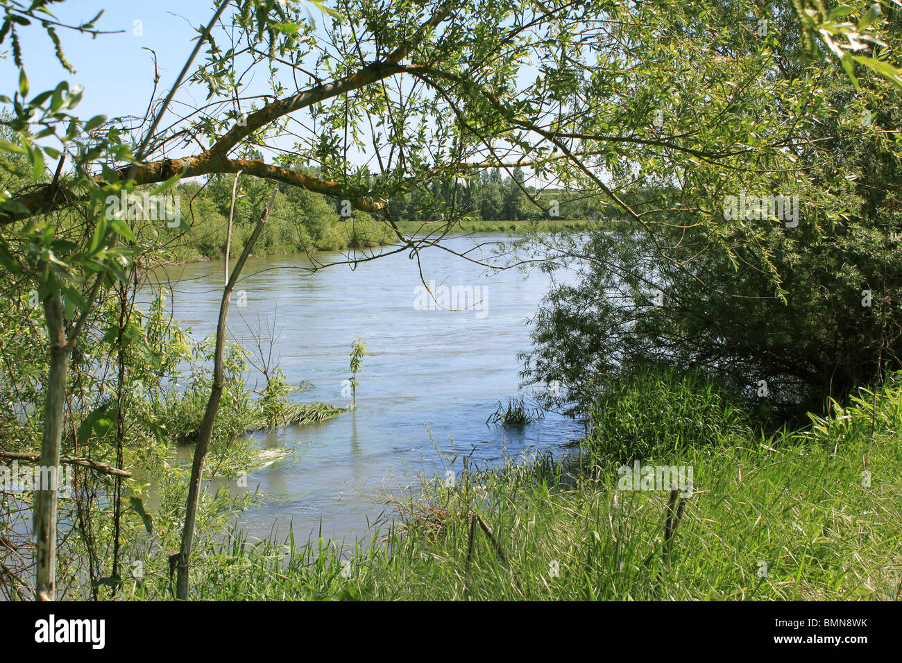photograph of a river or a river bordered of trees and vegetations ...