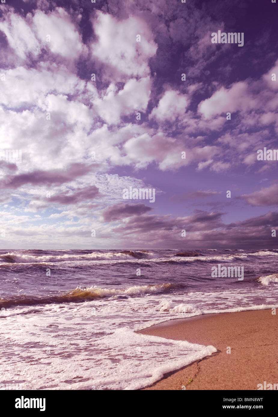 Coast of Baltic sea in windy weather,polarizing filter Stock Photo - Alamy