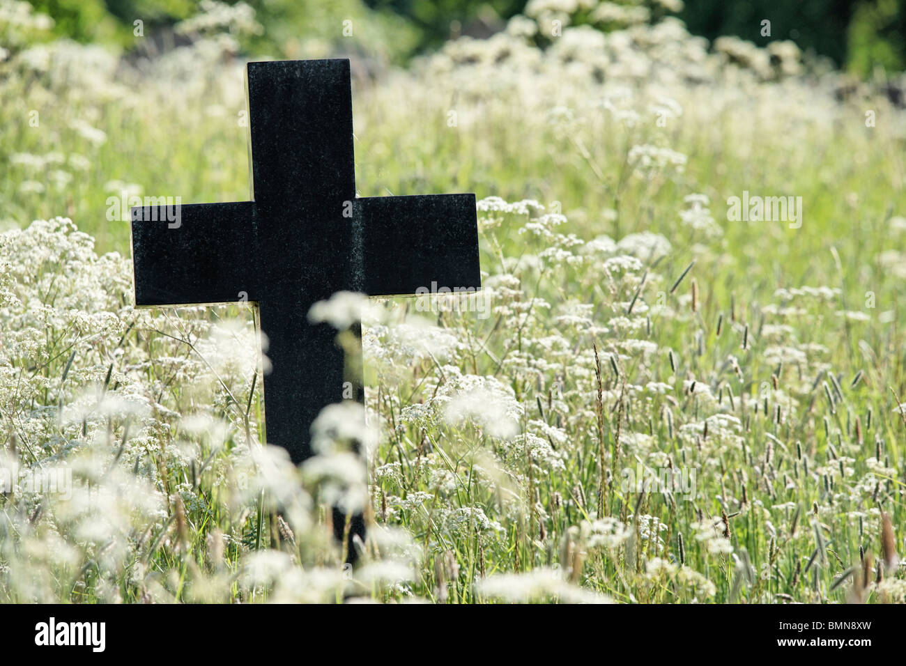 Headstone in the shape of a Black cross and surrounded by Cow parsley ...