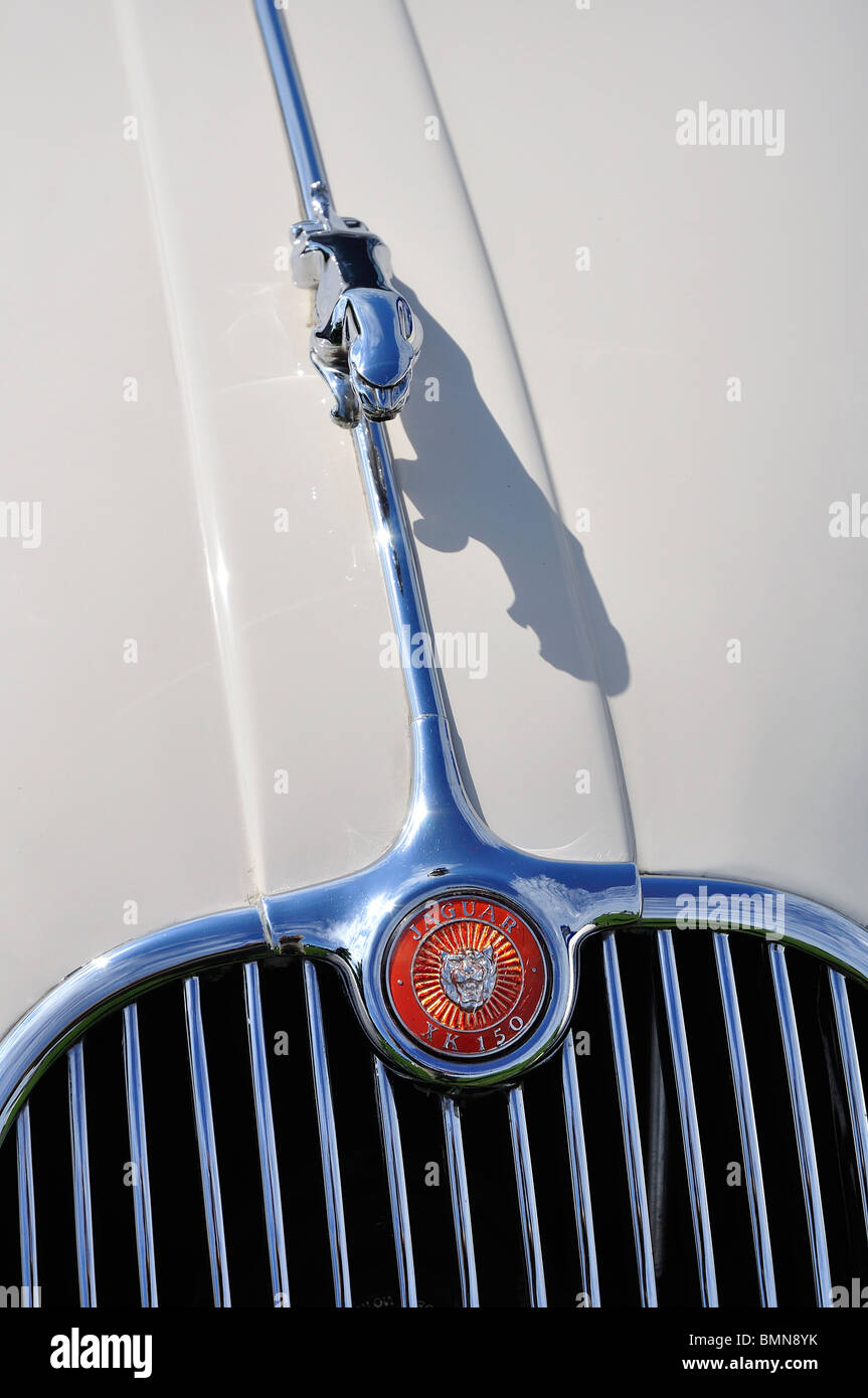 Jaguar car at Classic Car Show in Luton 2010 Stock Photo - Alamy