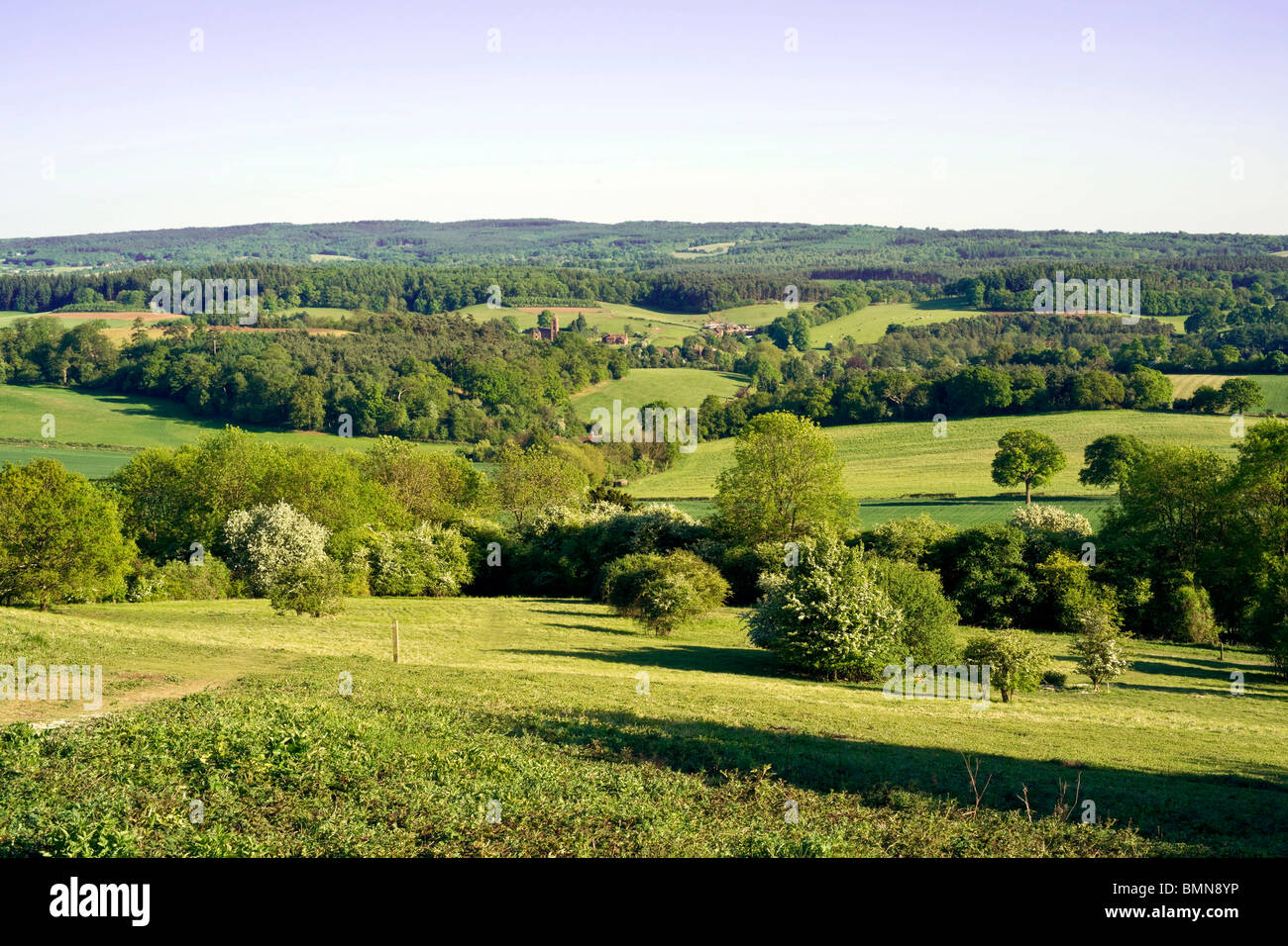A view from Newlands Corner Stock Photo - Alamy