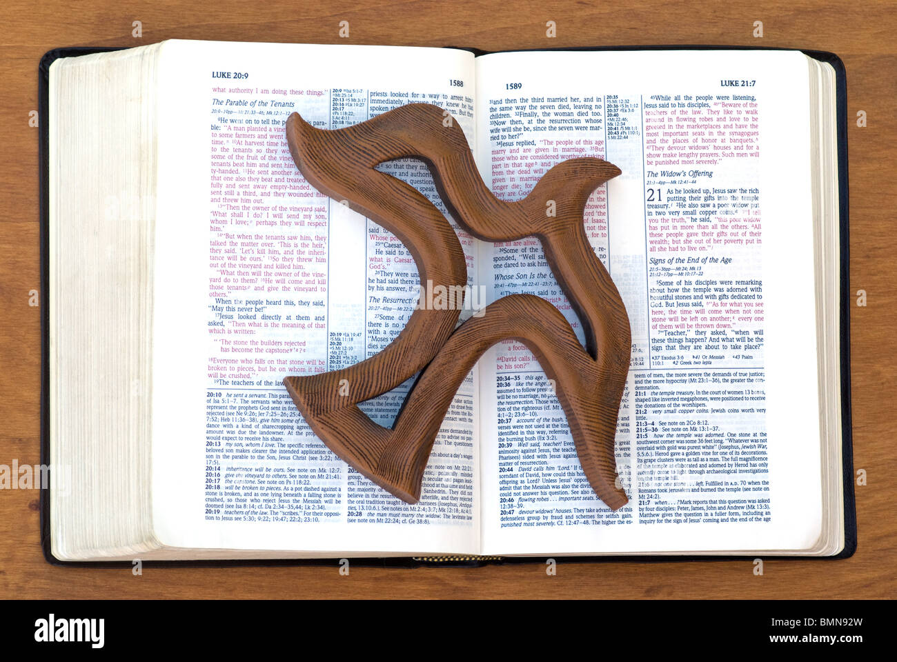 Christian red-letter edition of the Bible with form of the Holy Spirit ...