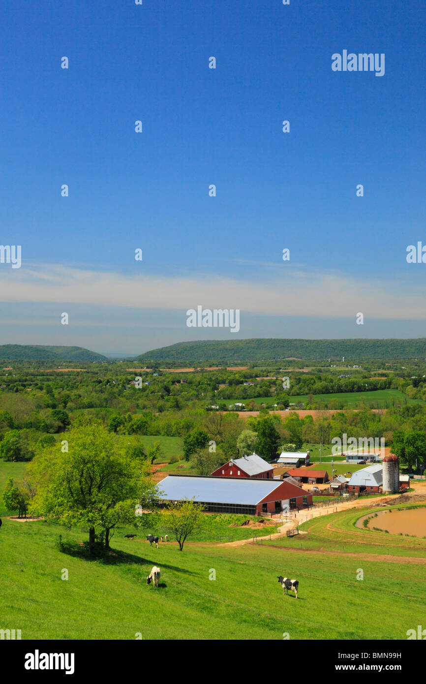 Farms farms farms farms field hi-res stock photography and images - Alamy