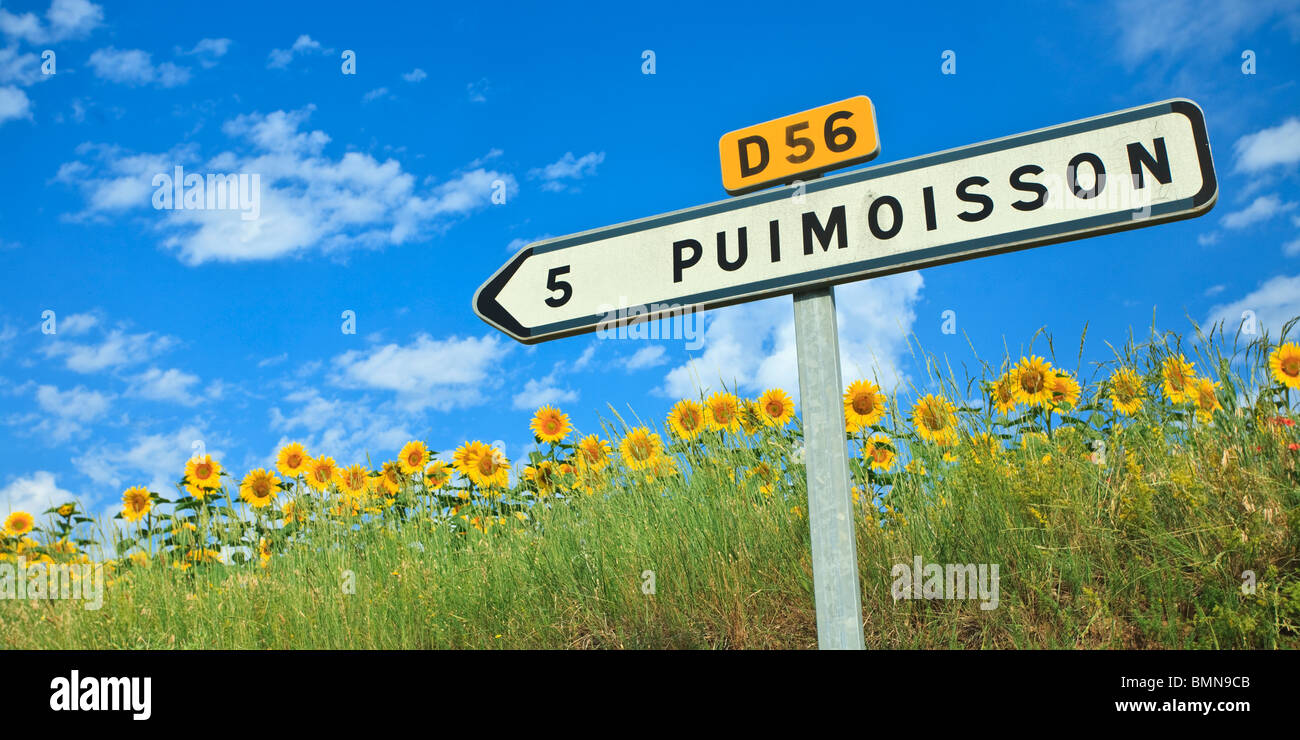 Sunflower Field, Puimoisson Road Sign, Provence, France Stock Photo - Alamy