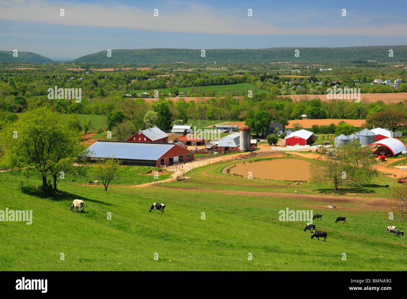 View of Farms with Potomac River Gap in Distance, Jefferson, Maryland ...