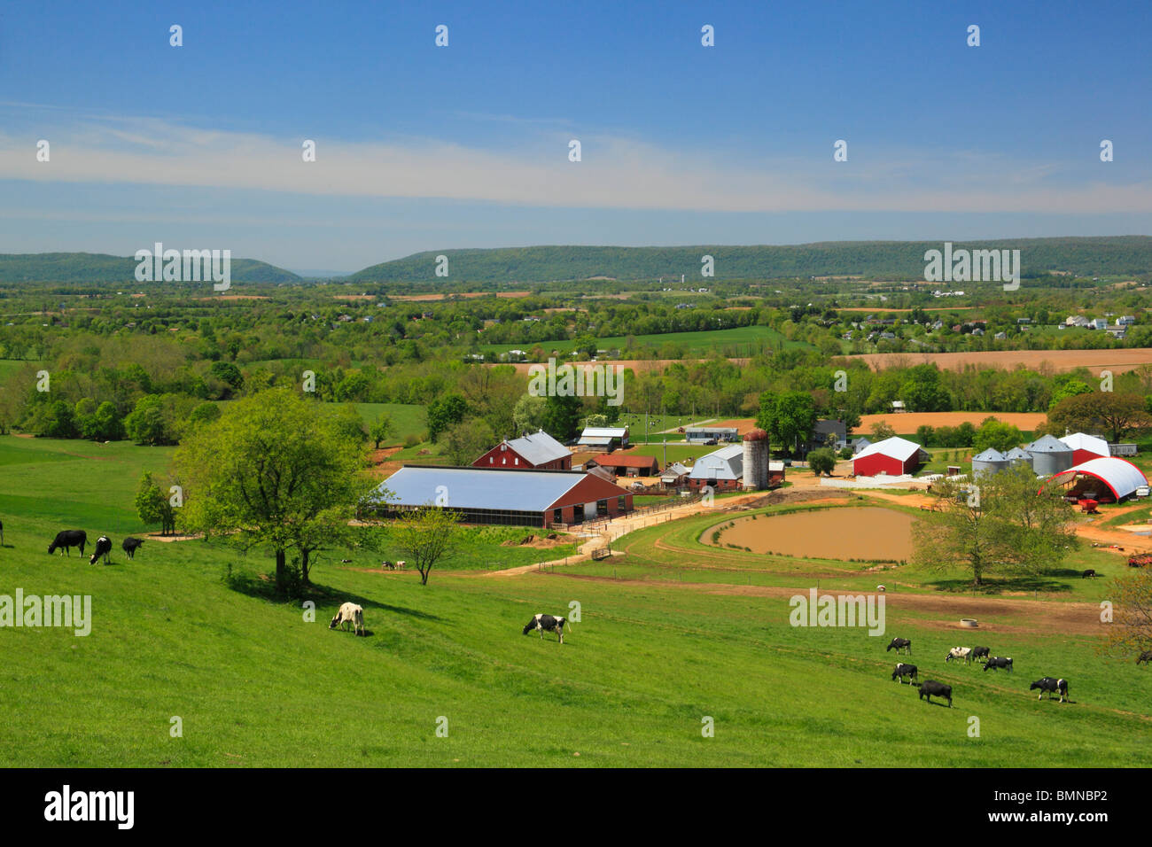 View of Farms with Potomac River Gap in Distance, Jefferson, Maryland ...