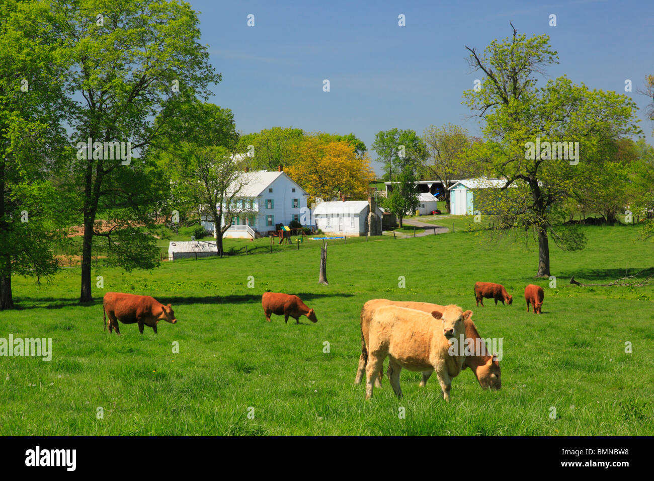 Grove farm house hi-res stock photography and images - Alamy