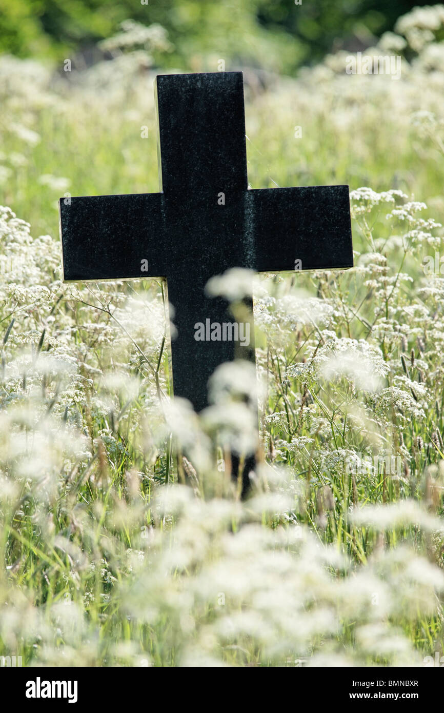 Surrounded by wild cow parsley hi-res stock photography and images - Alamy