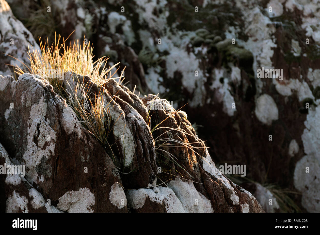 Roughty River High Resolution Stock Photography and Images - Alamy